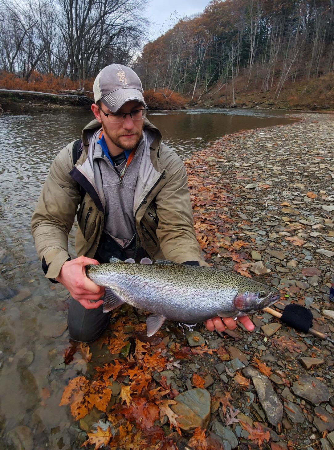 Ohio Central Basin Steelheaders