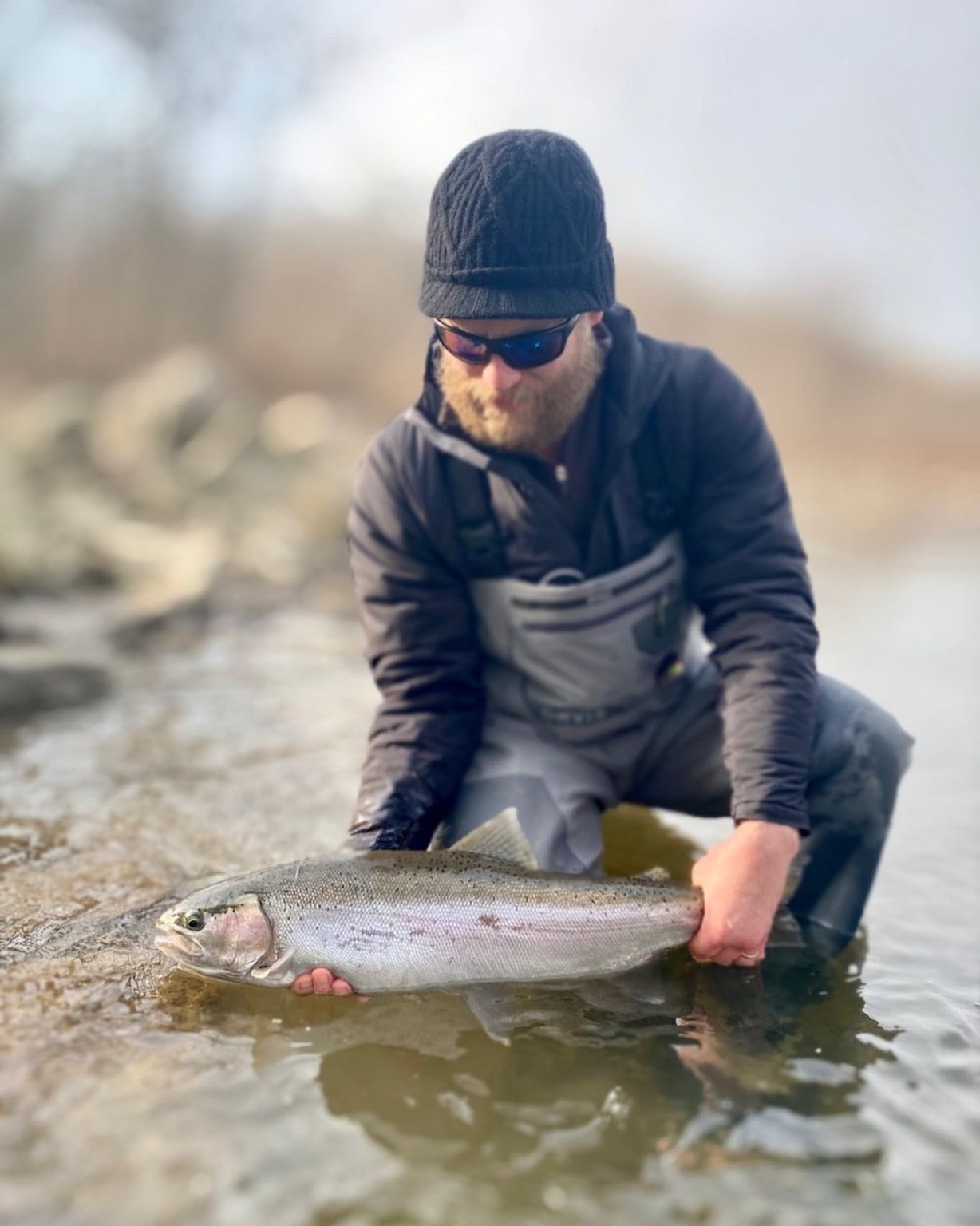Ohio Central Basin Steelheaders